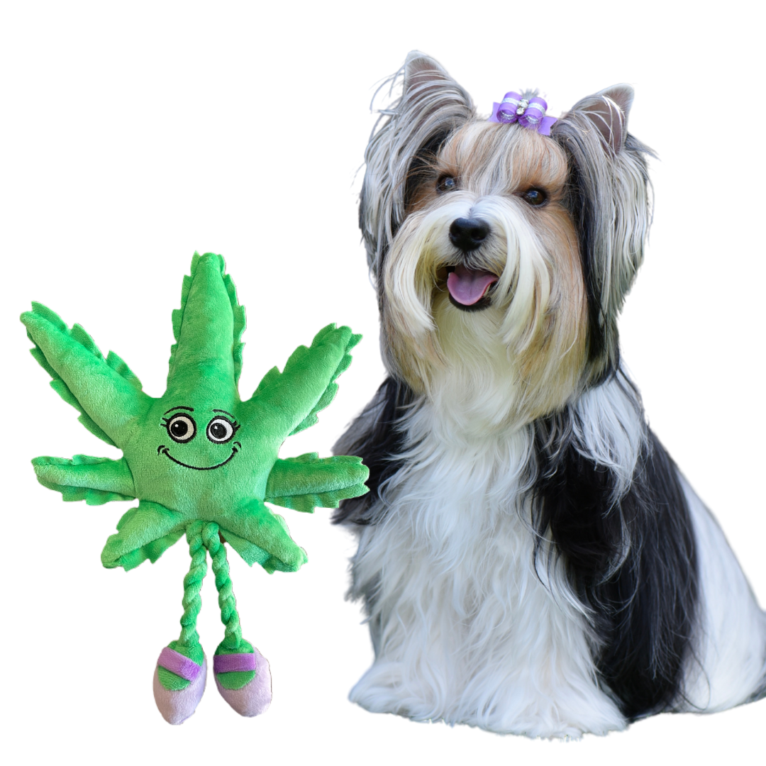 Mary Jane the Weed Leaf Toy – B. A. WAYNE